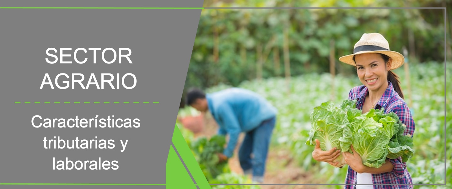 SECTOR AGRARIO